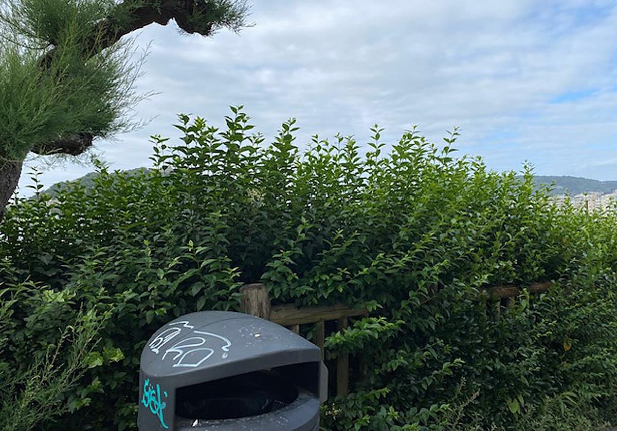 Donostia salvaje | El Diario Vasco